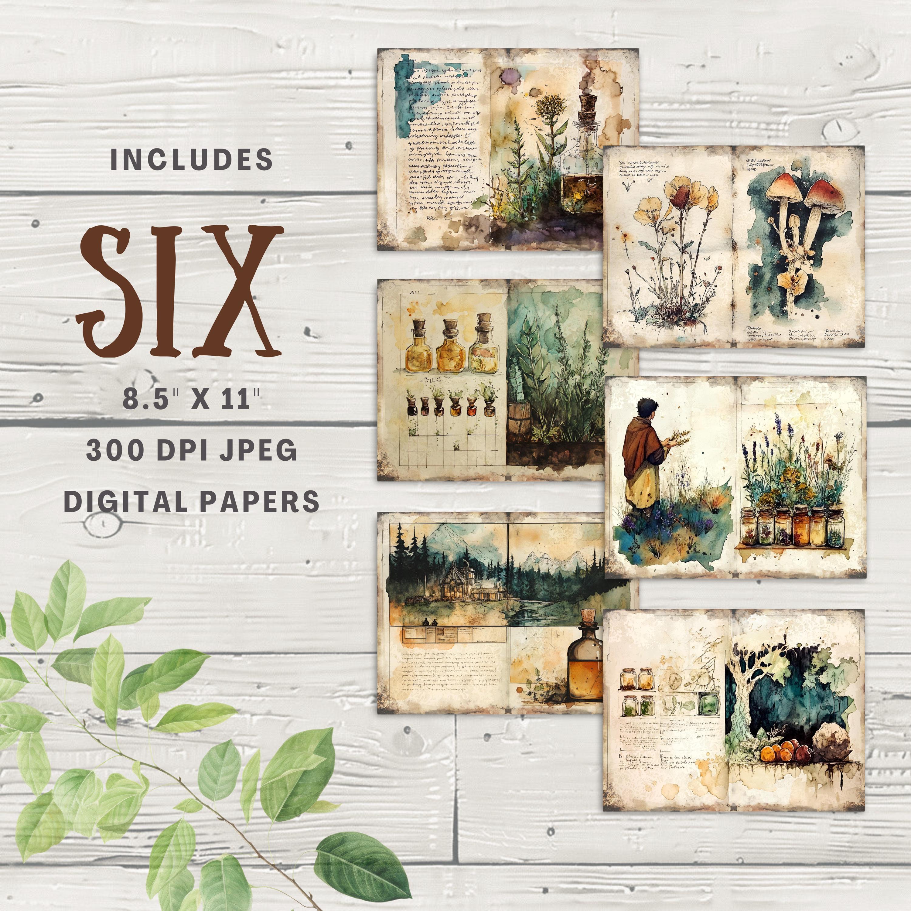 Botanist Handbook Junk Journal Pages 6 Digital Scrapbook Papers 11 X 8. ...