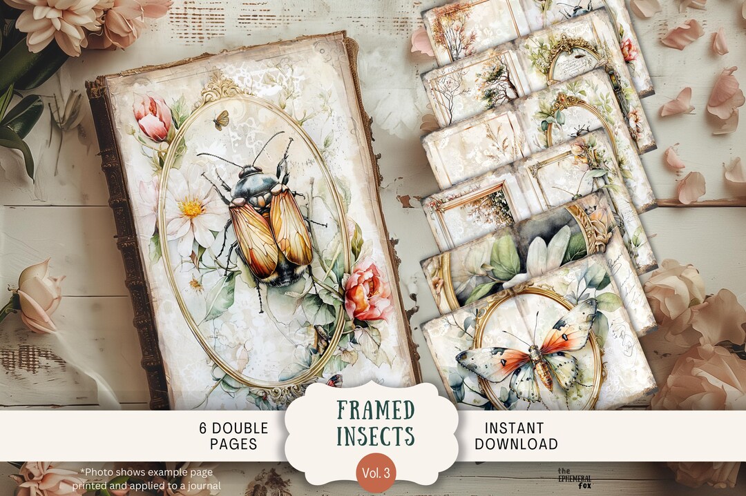 Insect Frame Junk Journal Pages 6 Digital Scrapbook Papers 11 X 8.5 ...