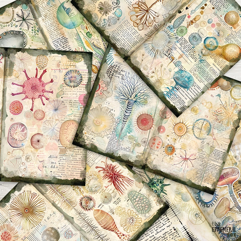 Under the Microscope Junk Journal Pages, 6 Digital Scrapbook Pages, 11 ...