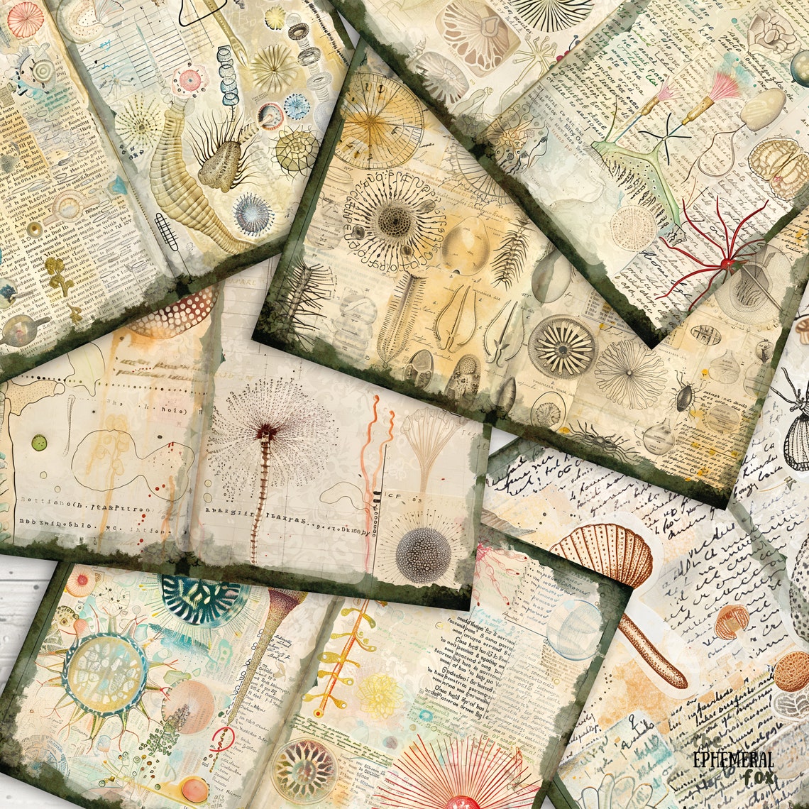 Under the Microscope Junk Journal Pages, 6 Digital Scrapbook Pages, 11 ...