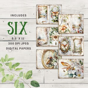 Insect Frame Junk Journal Pages 6 Digital Scrapbook Papers 11 X 8.5 ...