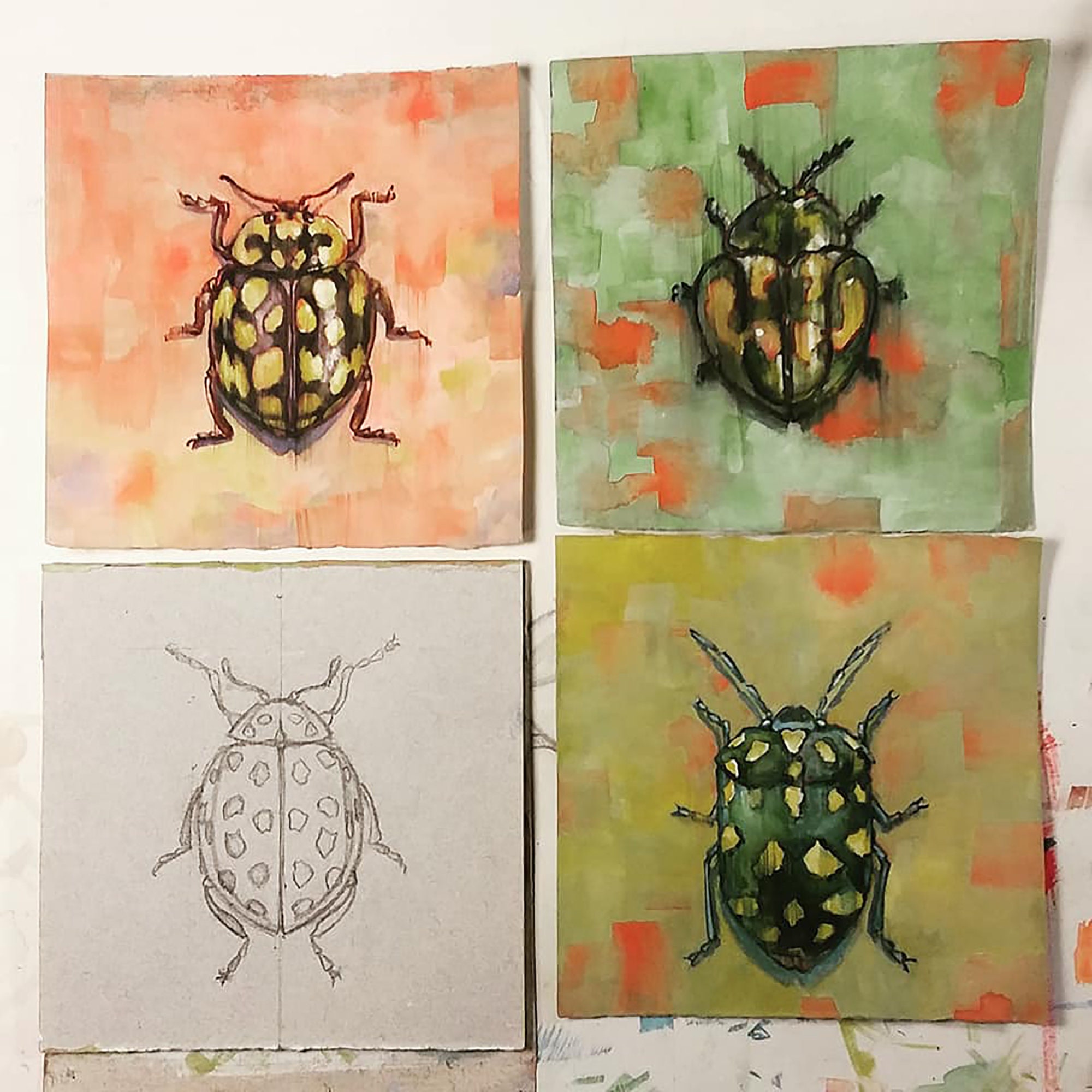 Insect Specimen Watercolor Botanical Wall Decor Art Painting ...