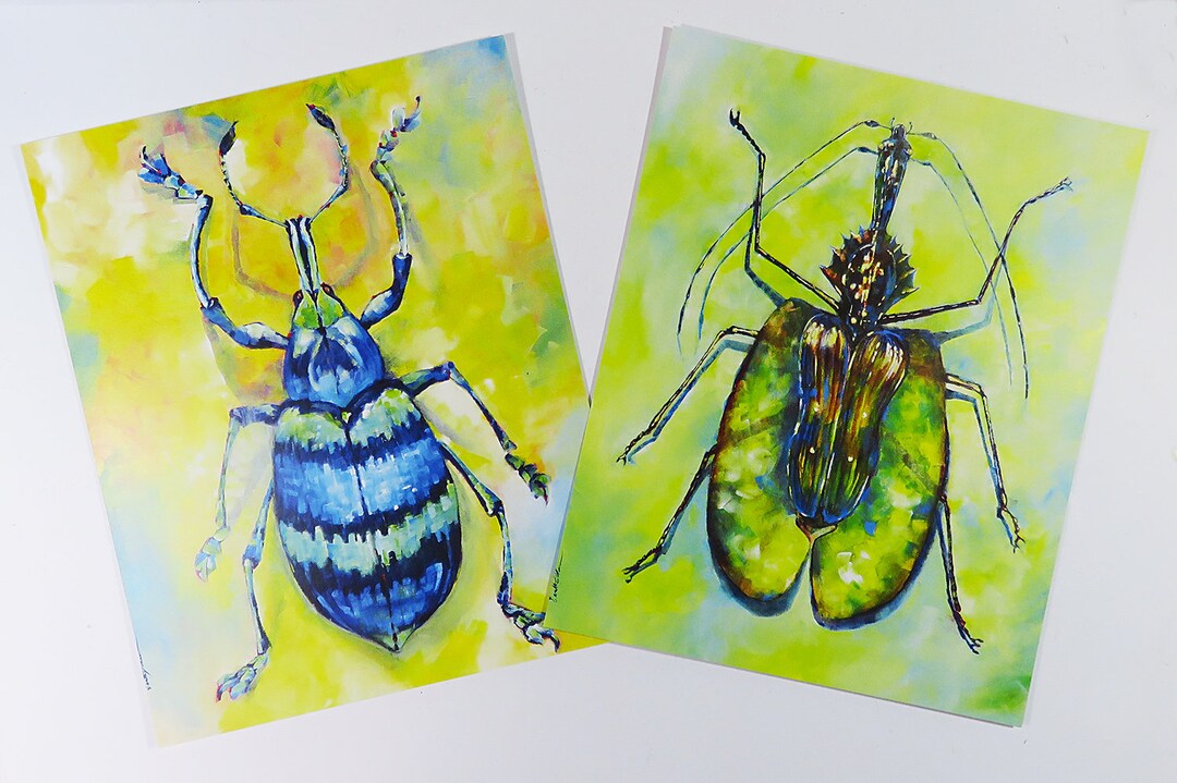 2 Collectible Insect Bug Specimen Digital Prints Art Nature Paintings ...