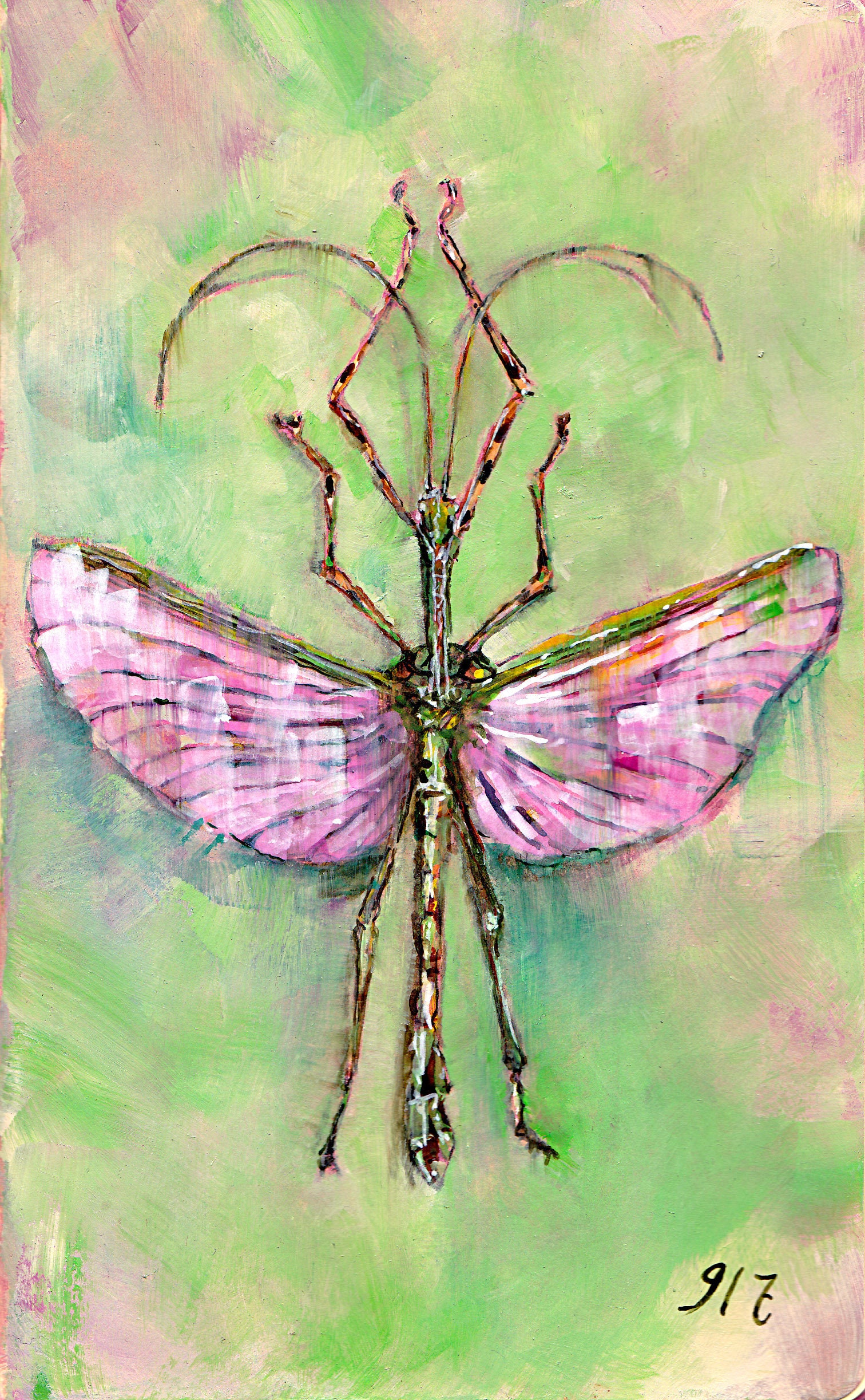 3 Collectible Leaf Bug Insect Specimen Pink Green 5 X - Etsy