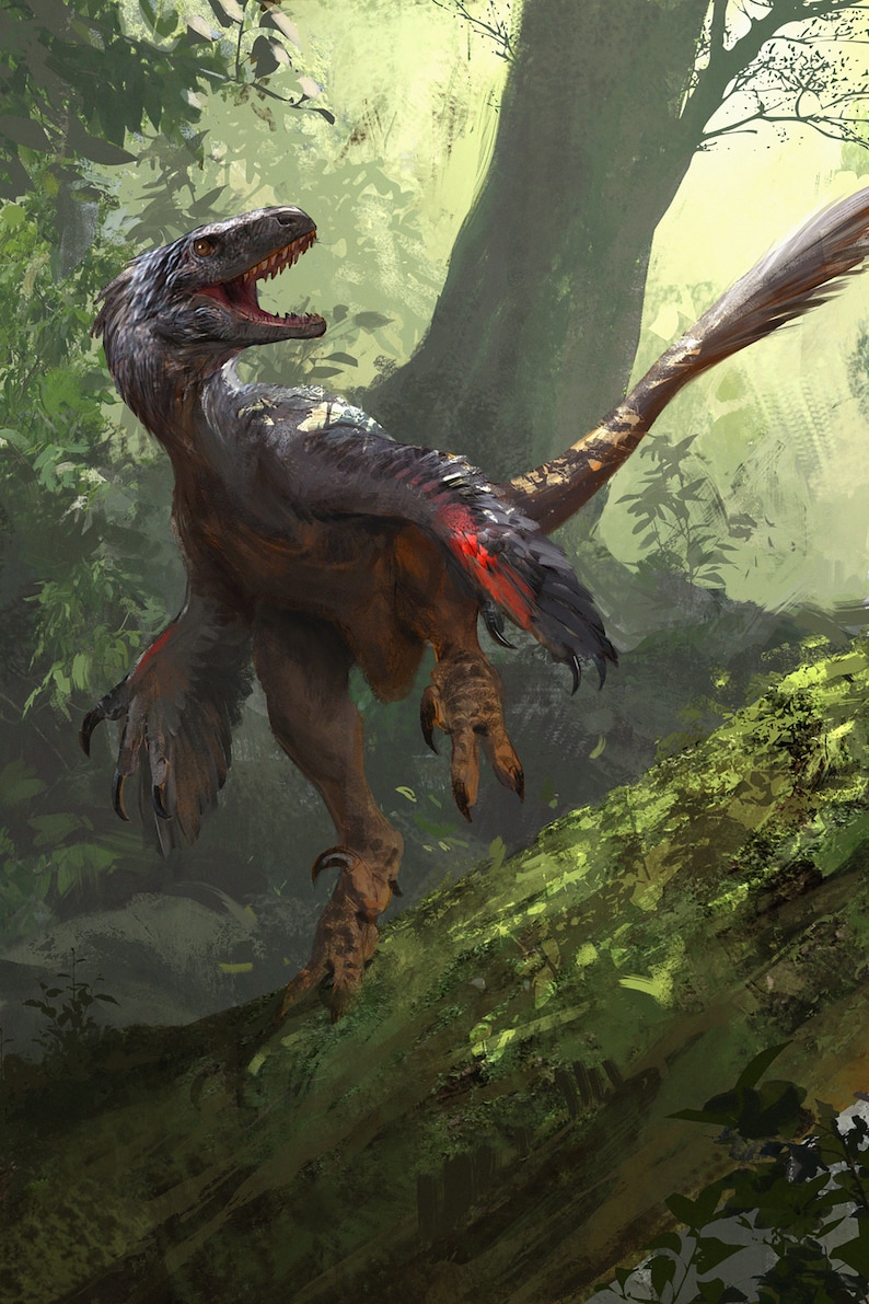 6-collectible Post Cards Pack 1 by Jonathan Kuo Digital Art Prints ...