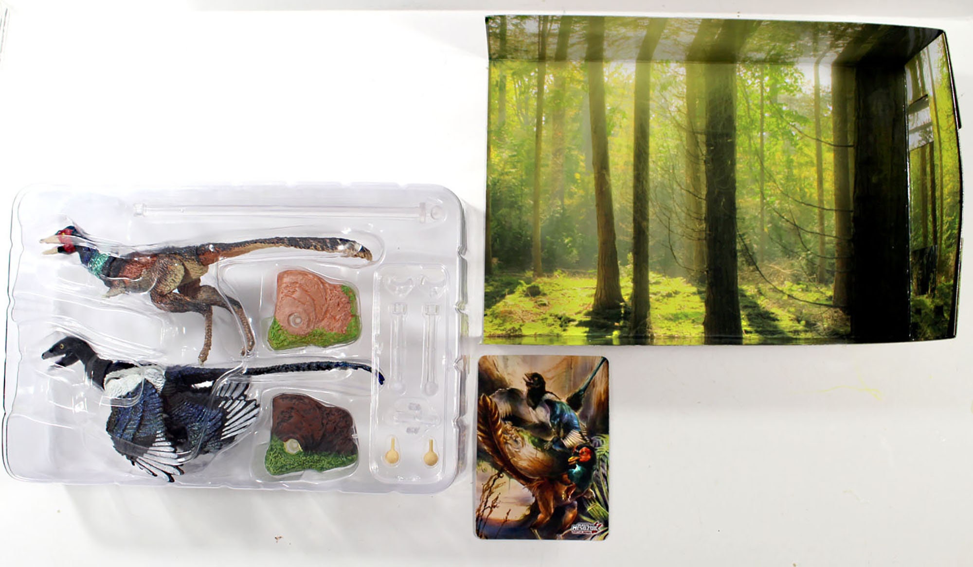 Microraptor 2 Pack Realistic Dinosaur Action Figure Collectible Pose ...