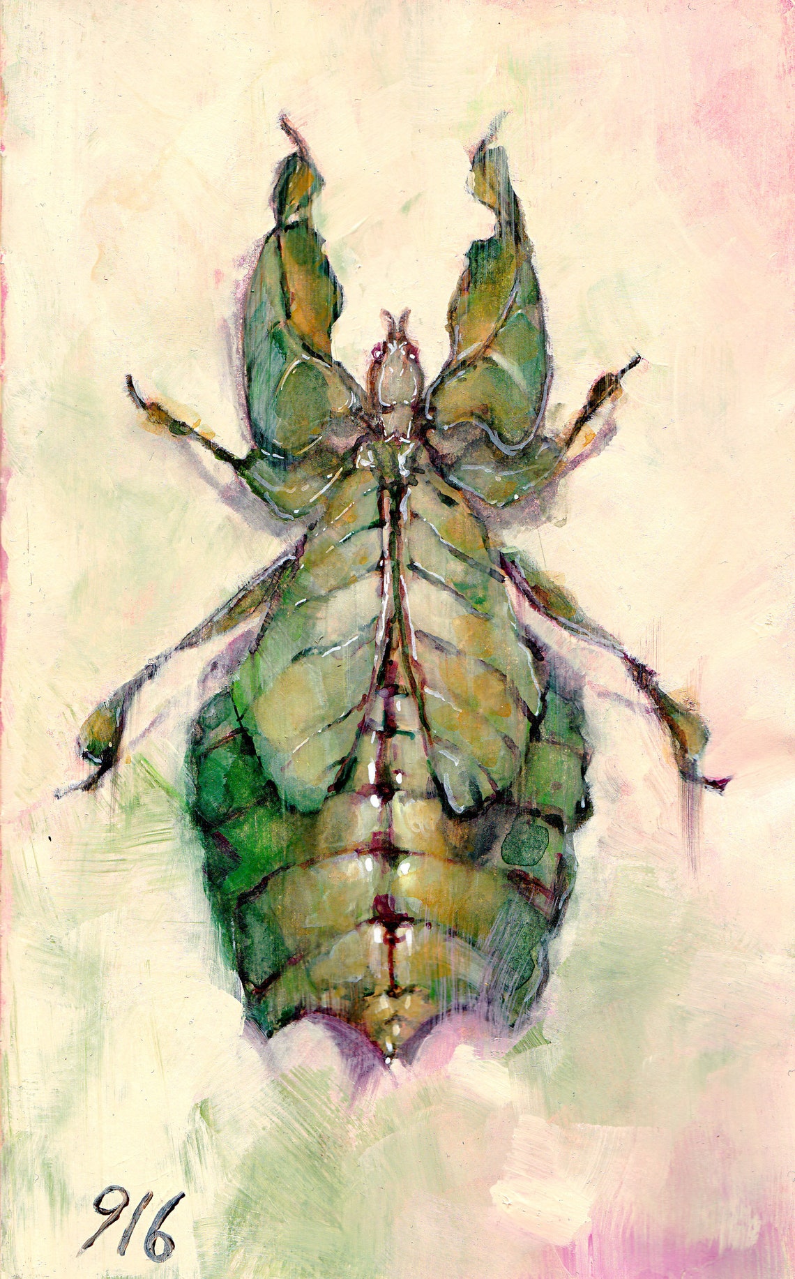 3 Collectible Leaf Bug Insect Specimen Pink Green 5" X 7" Cards Digital ...