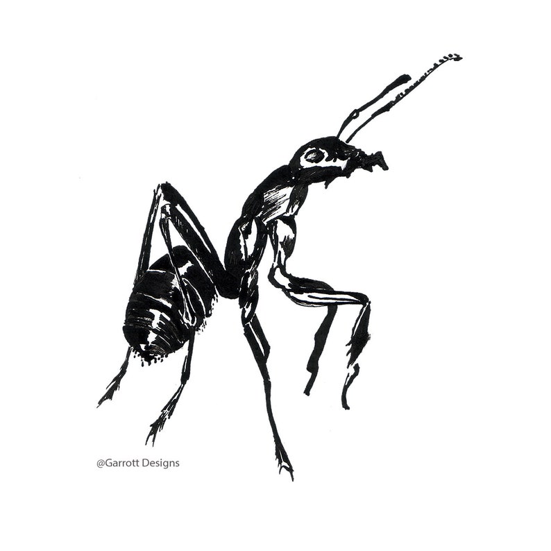 Printable Download Digital Art Ink Blot Ant Graphic Design Decor for ...