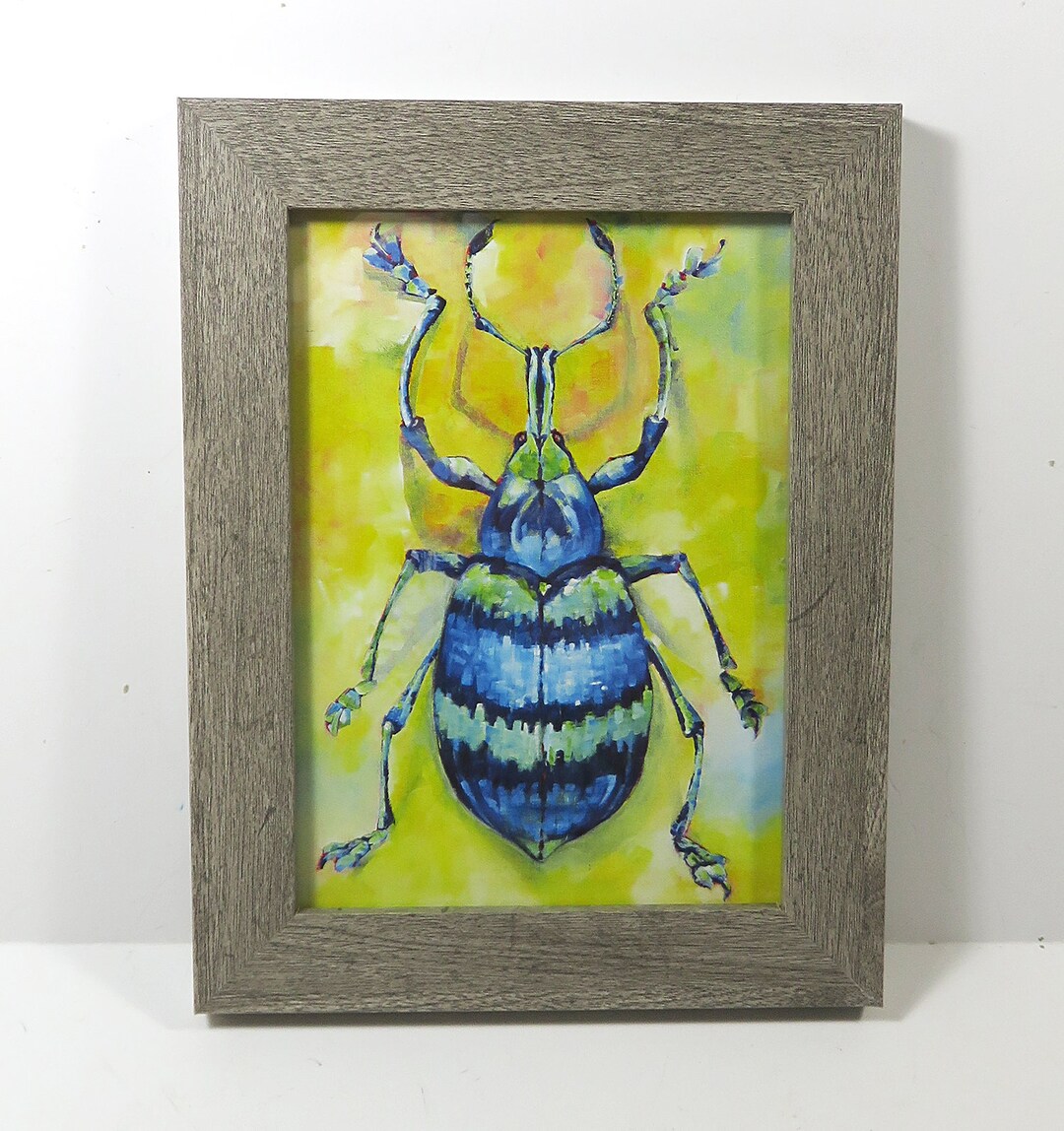 Blue Weevil 7" X 5" Framed Home Decor Office Faux Taxidermy Living Room ...