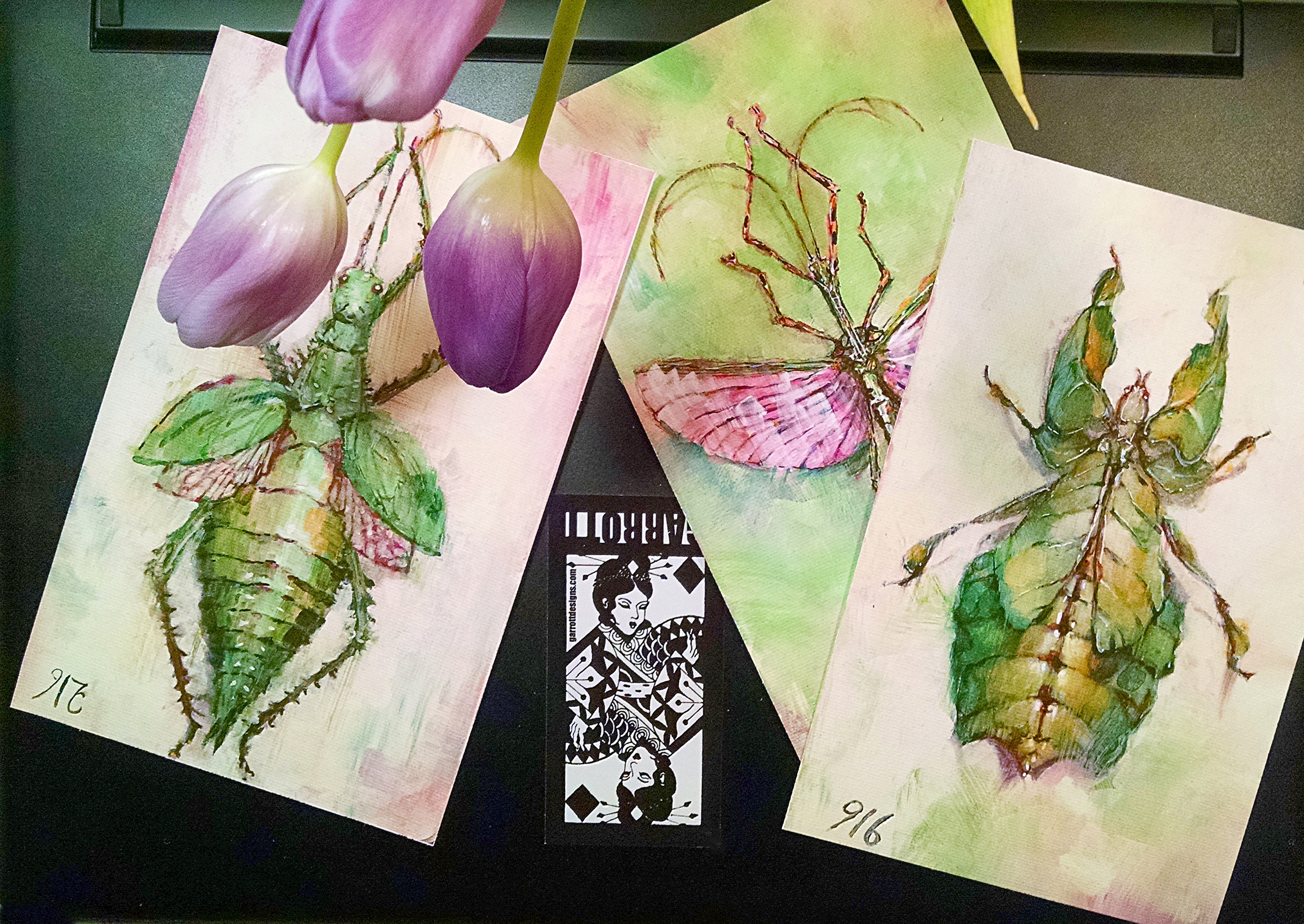 3 Collectible Leaf Bug Insect Specimen Pink Green 5" X 7" Cards Digital ...