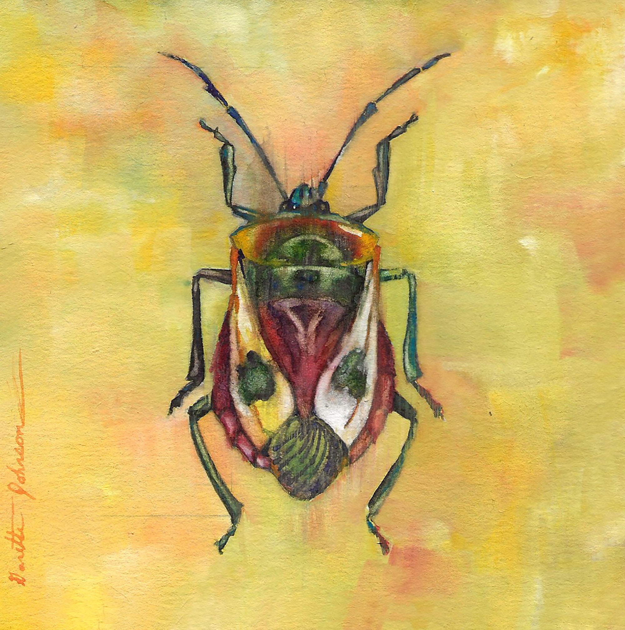 Insect Specimen Watercolor Botanical Wall Decor Art Painting ...