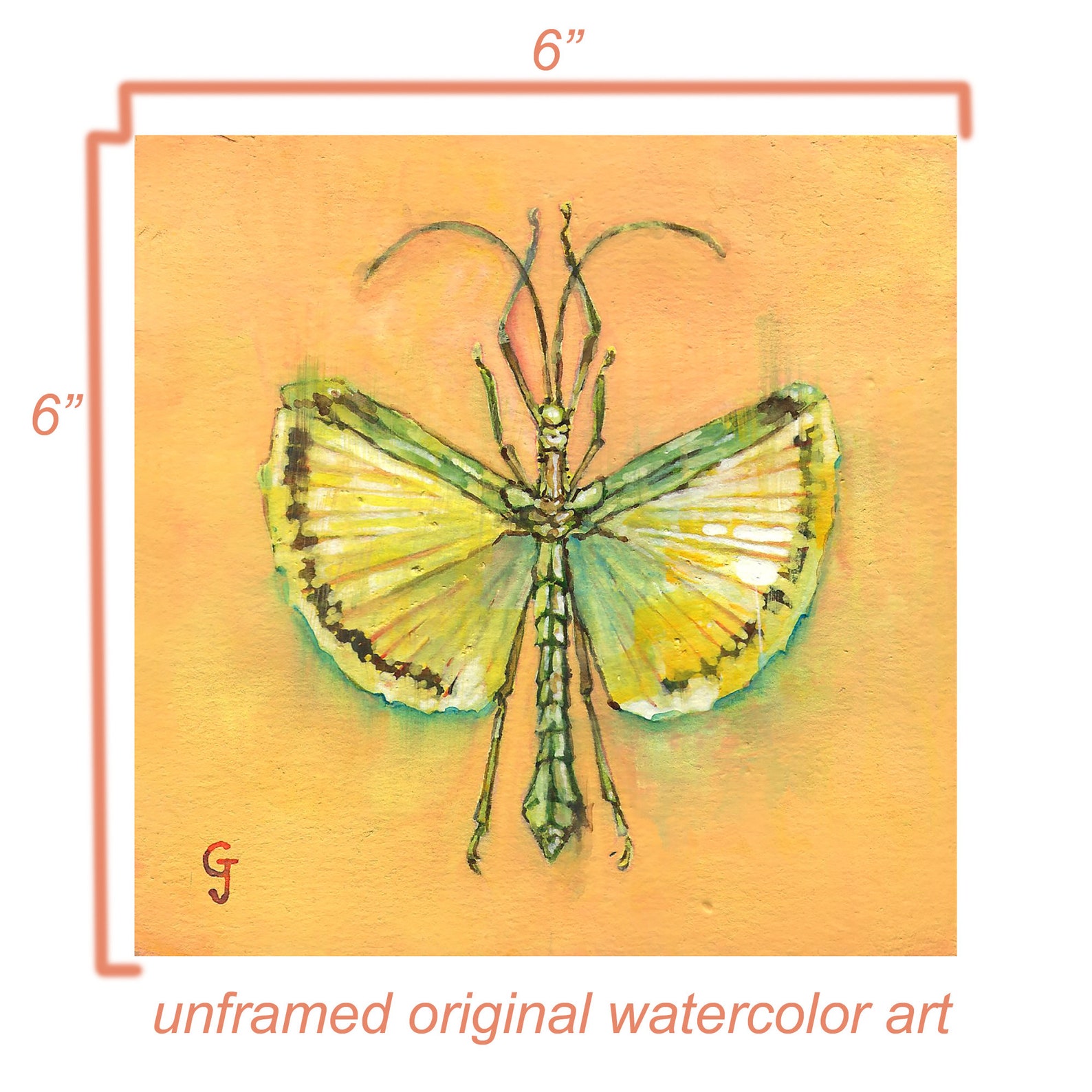 Insect Specimen Watercolor Botanical Wall Decor Art Painting ...