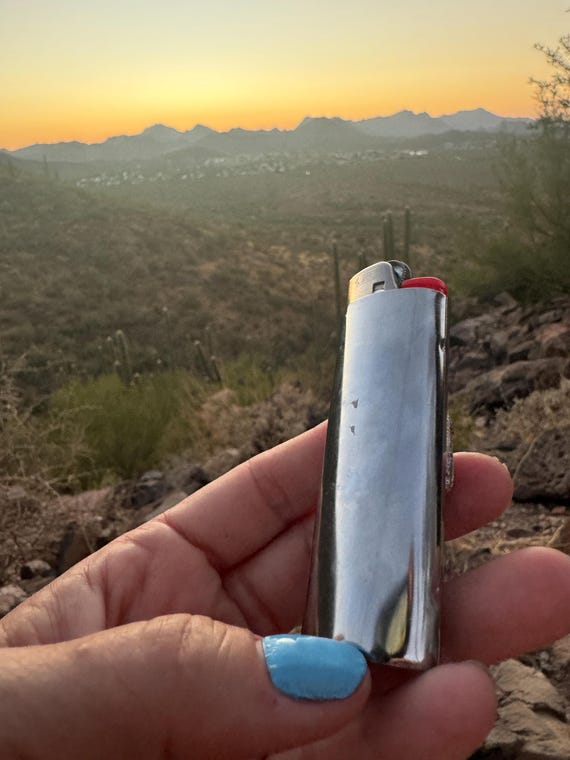 1970s ALIEN Lighter Case - Gem