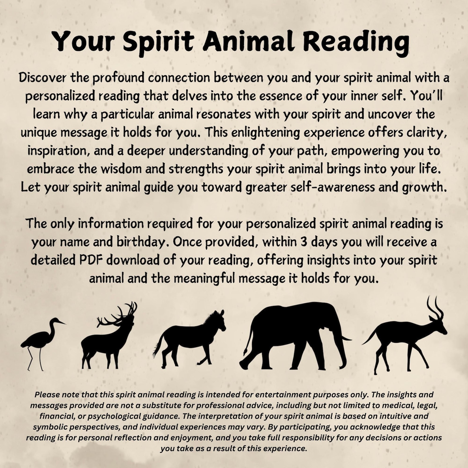 Spirit Animal Reading | Who is Your Spirit Animal? What is Your Spirit ...