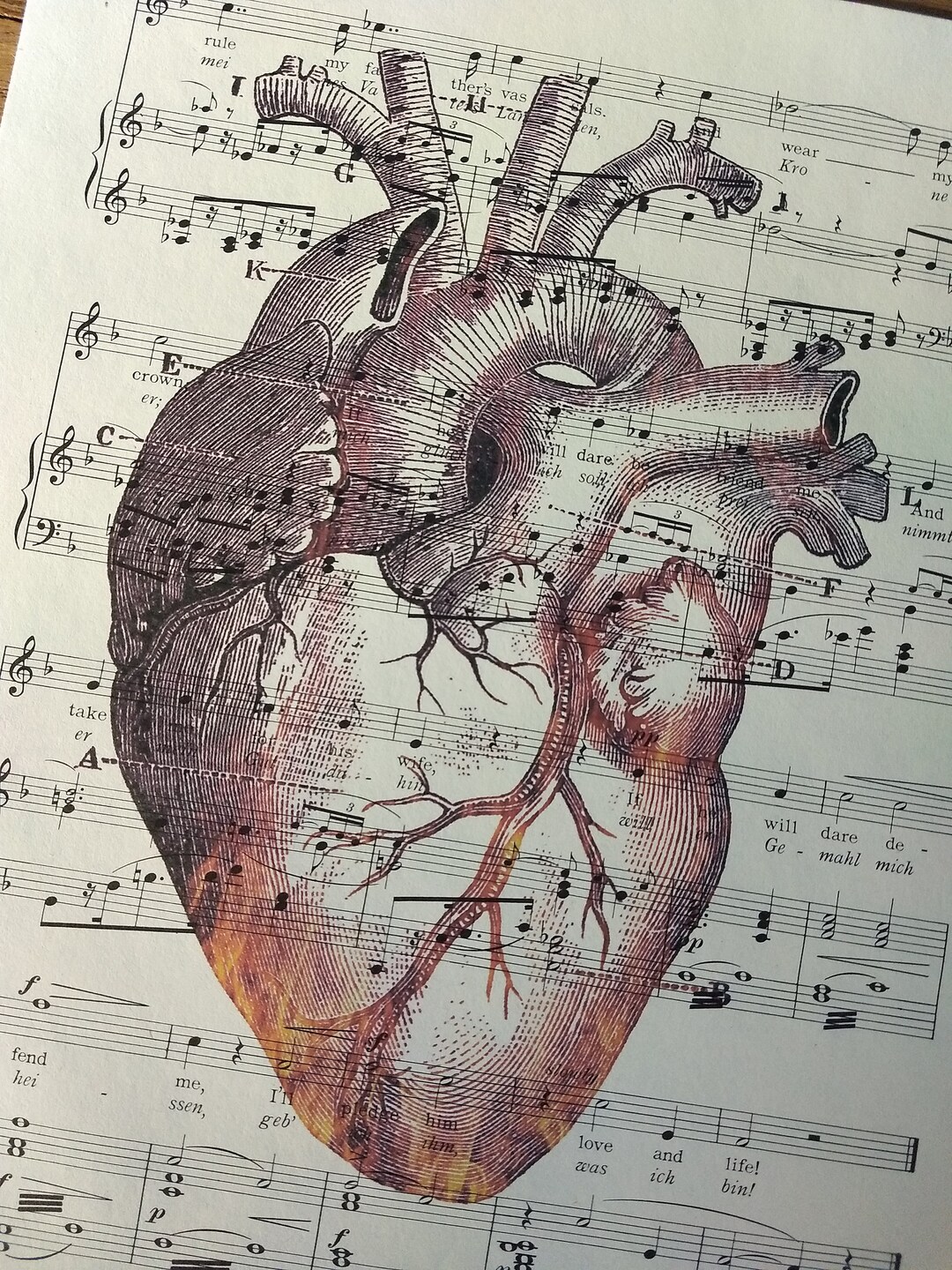 Vintage flaming Anatomical Heart on Vintage Sheet - Etsy