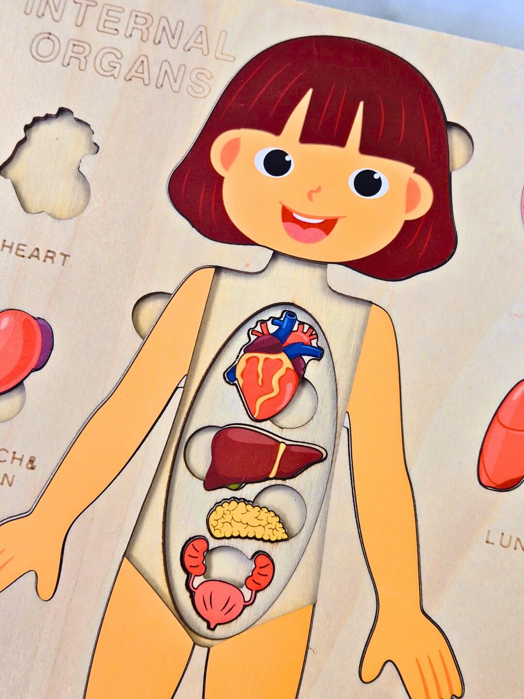 Montessori Human Body Puzzle for Kids | Learning Human Anatomy ...