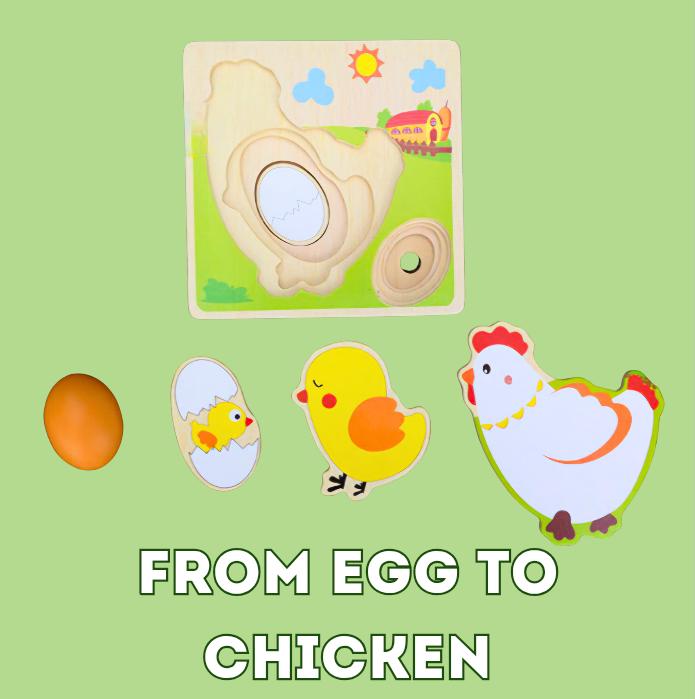 Montessori Chicken Life Cycle Wooden Puzzle | Sensory Toy | Educational ...