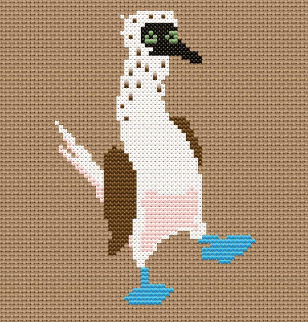 Blue Footed Booby Bird Cross Stitch Pattern (PDF) - Etsy