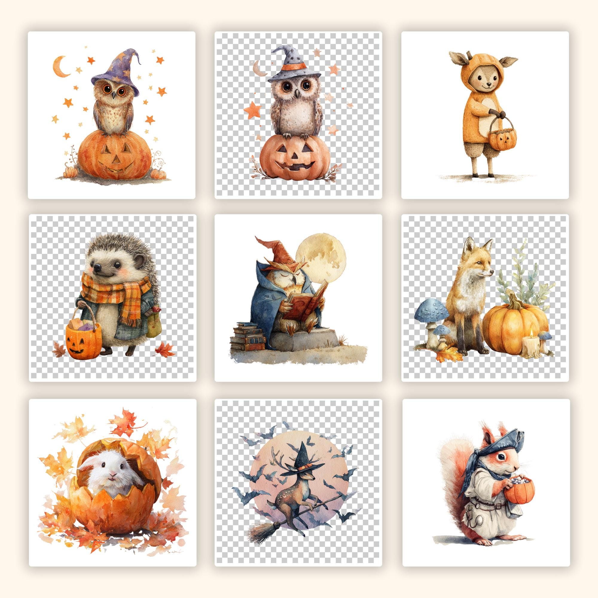 Halloween Cute Animals Spooky Clipart | Ghosts, Pumpkins, Bats & Witch ...