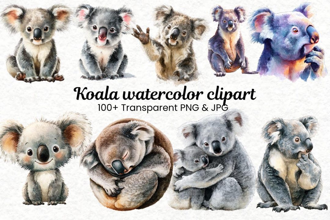 Koala Watercolor Clipart | Cute Koala 100+PNG | Nursery Decor | Baby ...