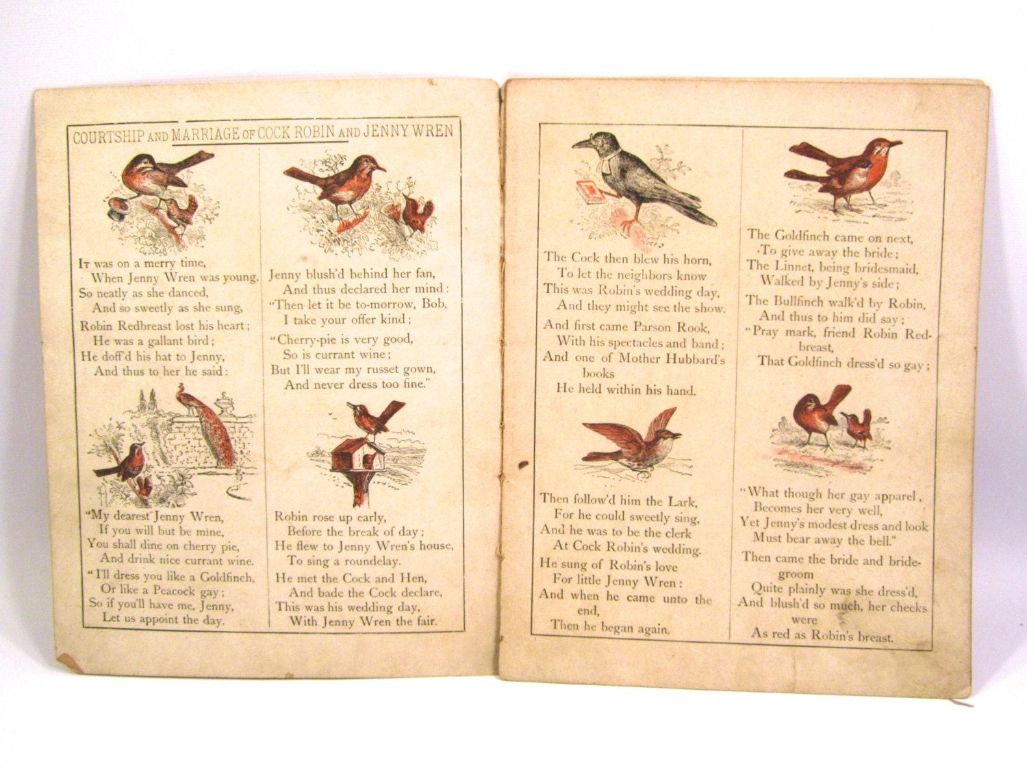 RARE the Story of Cock Robin Paper Back Children's Story - Etsy