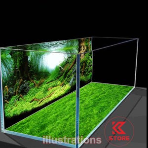 Aquarium Wallpaper: Modern Fish Tank Background, Custom Size - Etsy