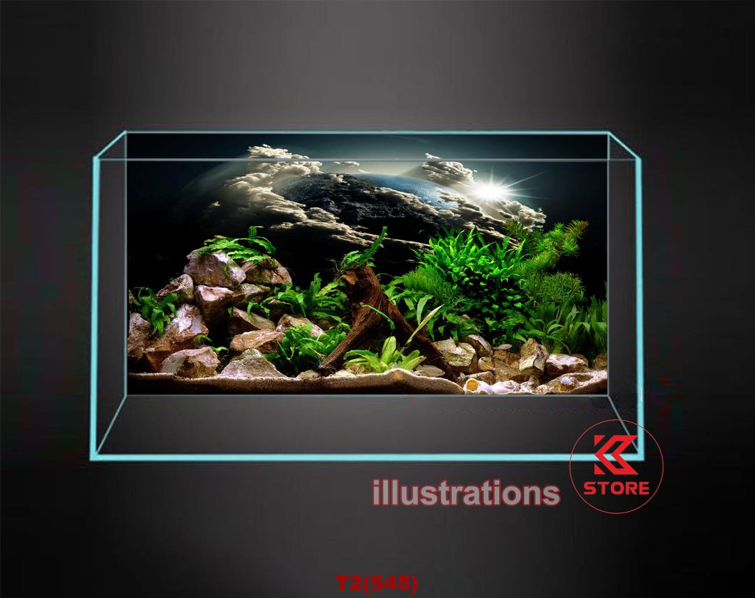 Realistic Aquarium Vinyl Sticker Tropical Coral Reef Background - Etsy