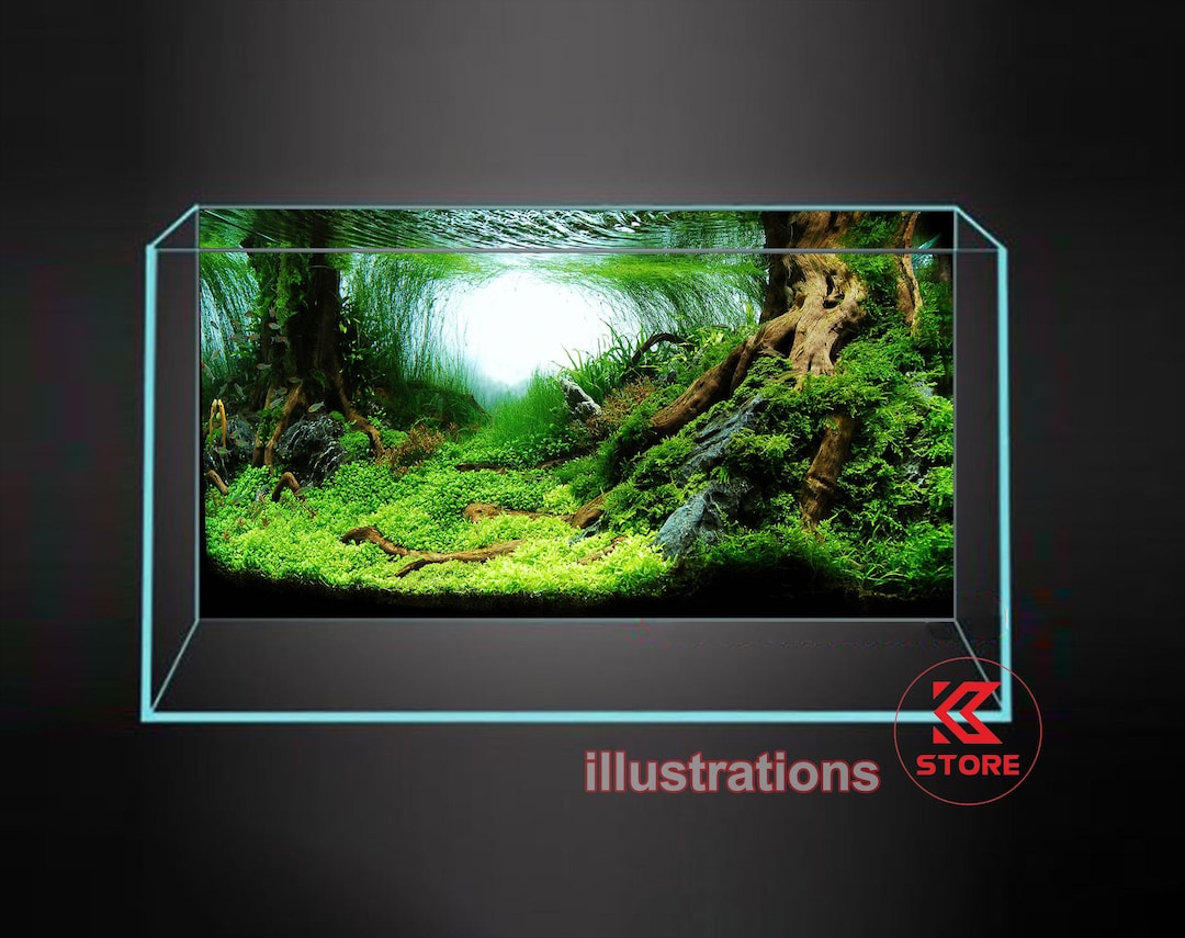 Aquarium Wallpaper: Modern Fish Tank Background, Custom Size - Etsy