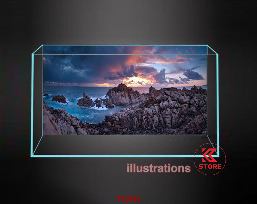 Reef & Fish Tank Decal – Stunning 3D Visual Effect - Etsy
