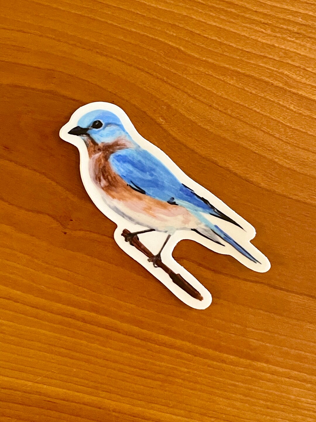 Bluebird Sticker Backyard Birds Birding Stickers Wild Birds Vinyl ...