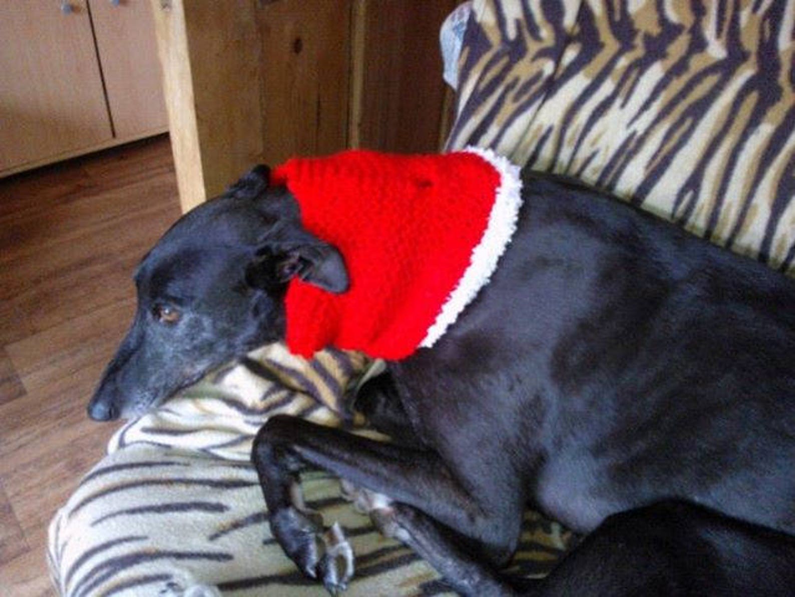 Greyhound Santa Snood Knitting Pattern Download | Etsy