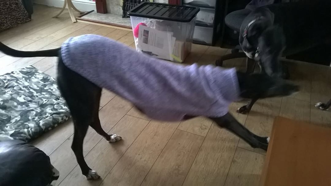 Knitted Greyhound Sweater Knitting Pattern Download - Etsy
