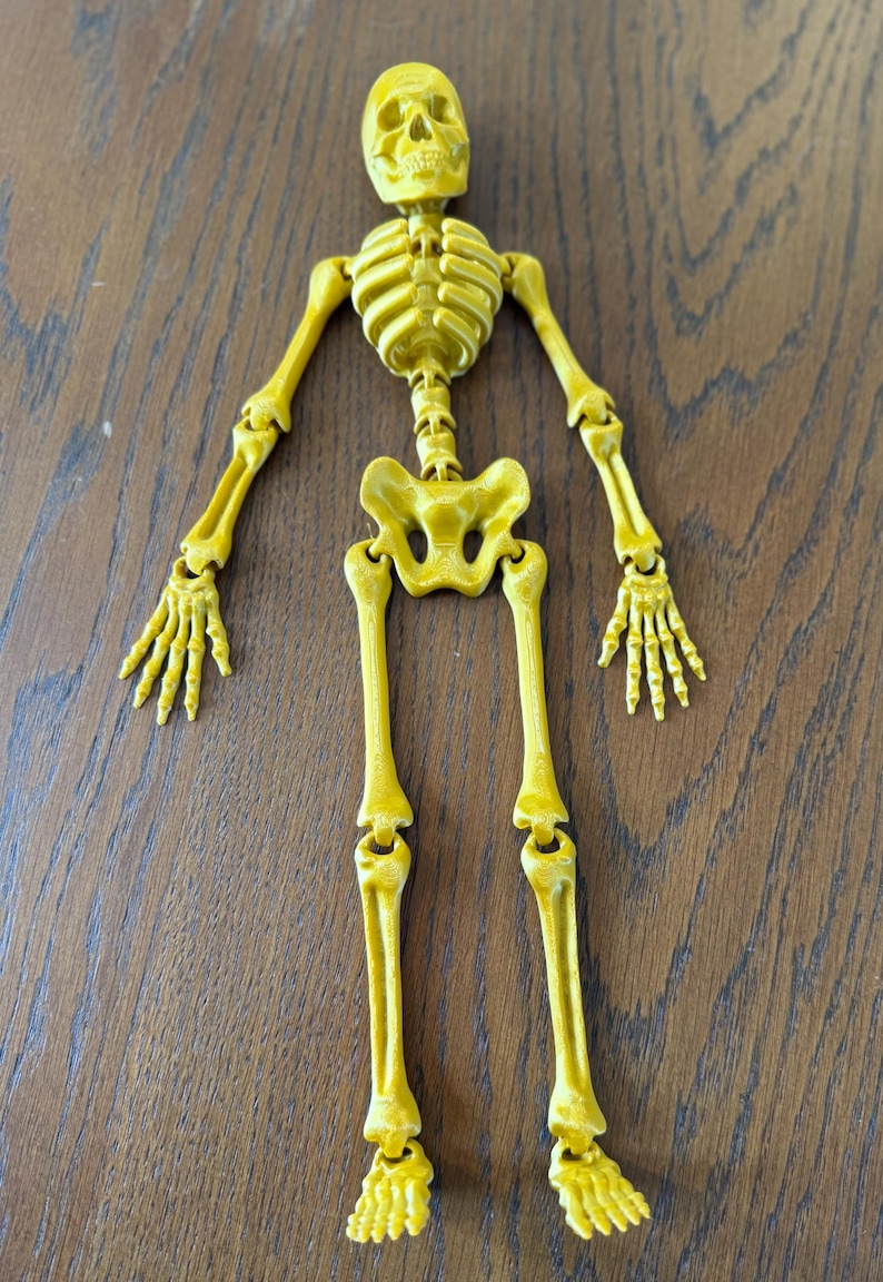 3D Printed Skeleton, Cute Skeleton Decor, Halloween Skeleton, 3D 12 ...