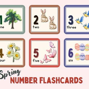 Number Flashcards | Spring Themed Counting Activity | PDF - Etsy
