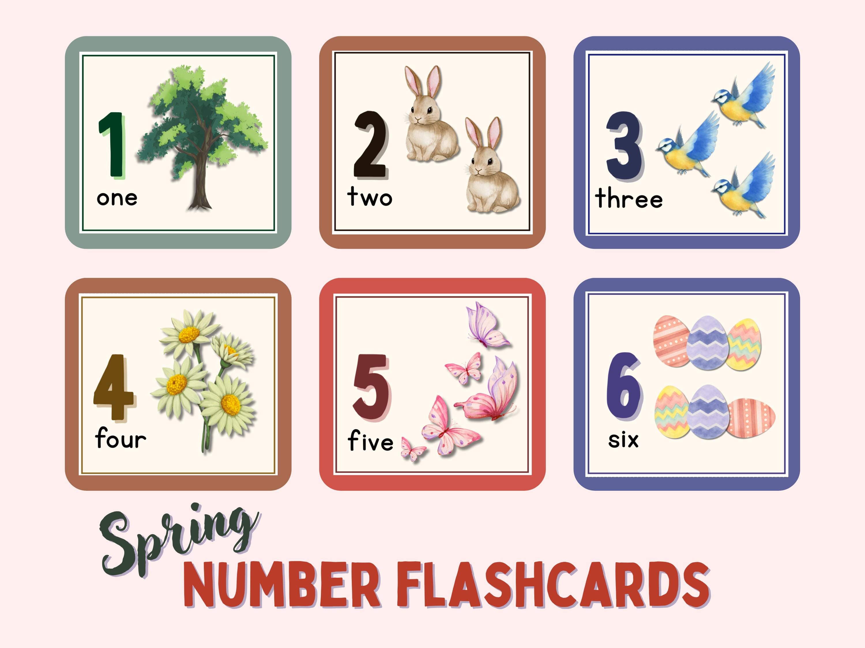 Number Flashcards | Spring Themed Counting Activity | PDF - Etsy
