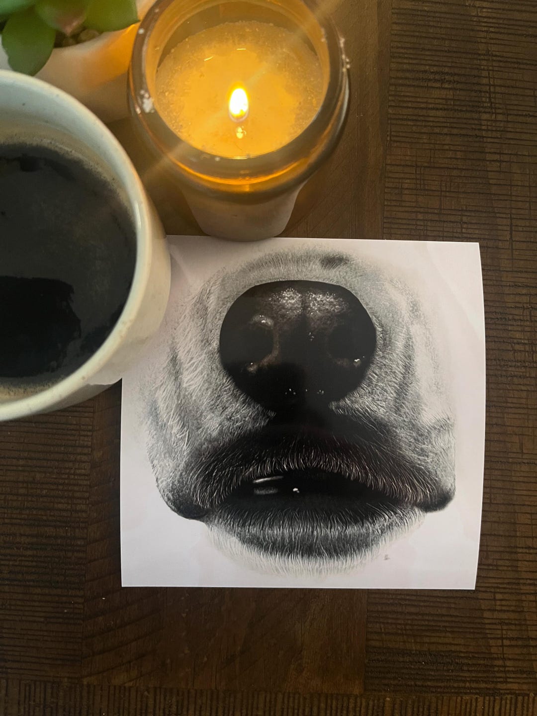 Dog Snout - Digital Download (up to Size 35x35) Digital Design - Etsy