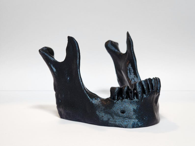 Jaw Phone Stand - Etsy