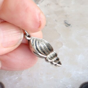 Silver Shell Charm 30mm - Etsy