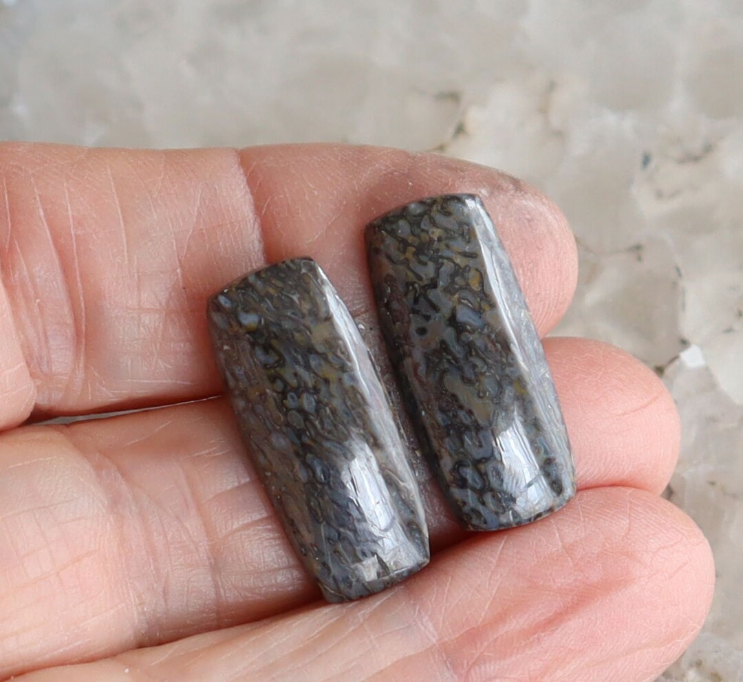 Pair of Coprolite Dino Poop Stone Cabochons 23mm X 10mm - Etsy
