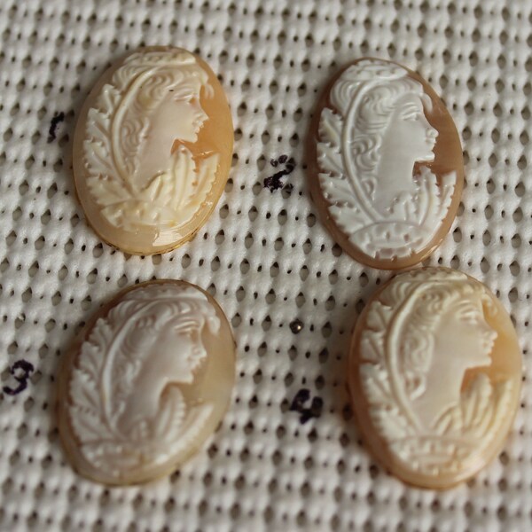 Shell Cameos - Etsy
