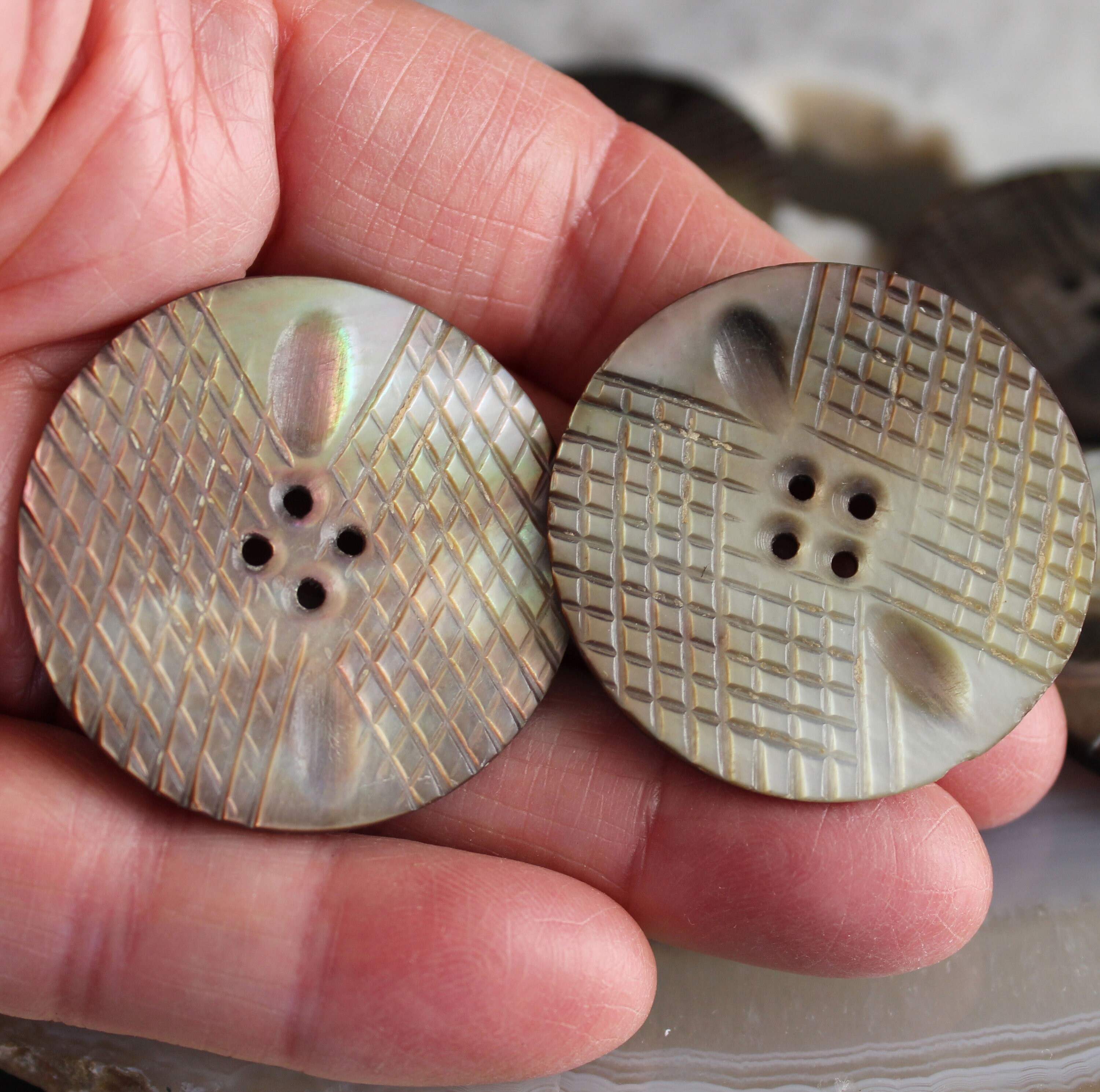 Antique 38mm Intricately Carved Shell Button 4 hole Sold as | Etsy