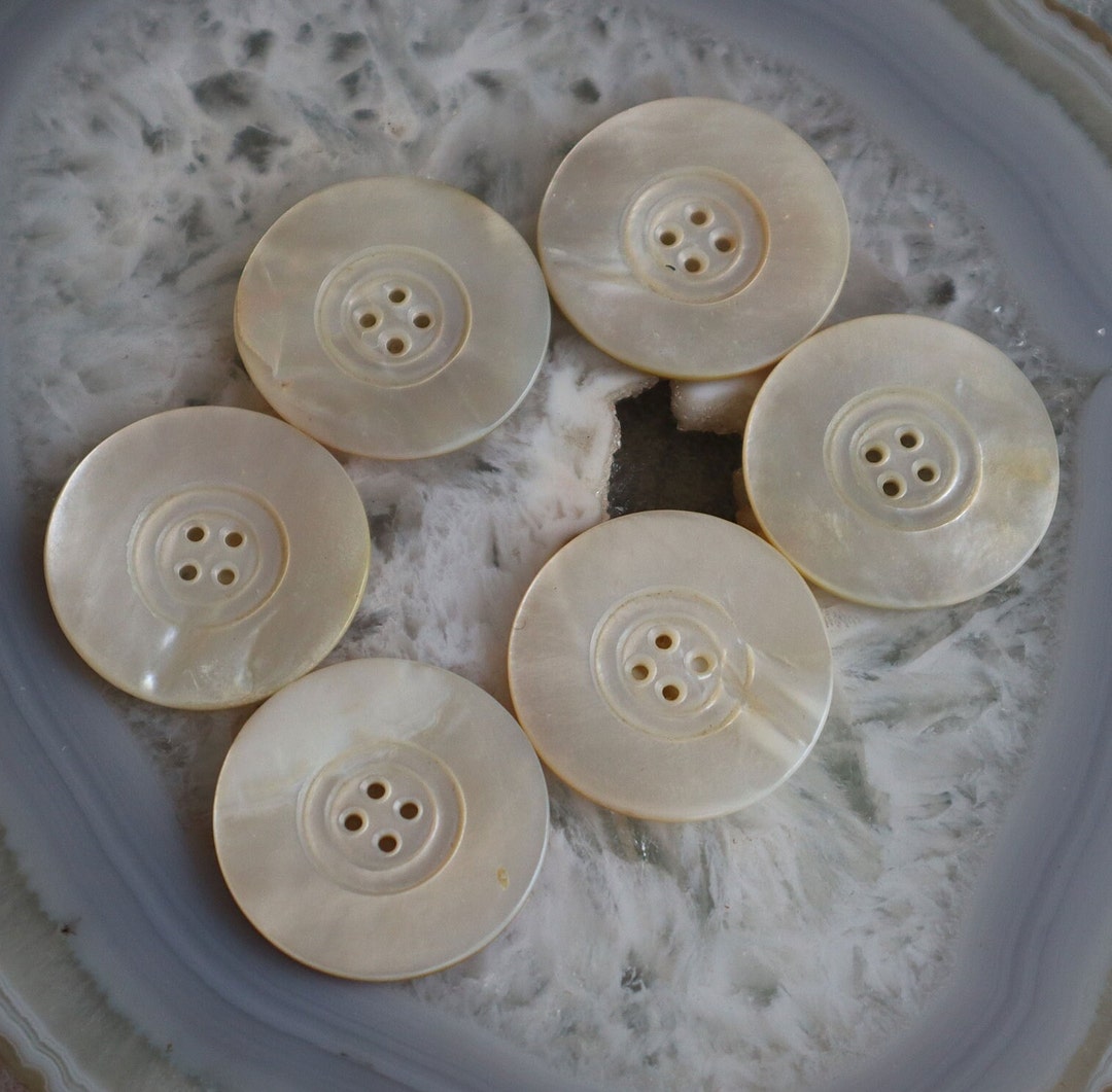 Vintage 37mm Carved Shell Button 4 Hole Set of 6 - Etsy