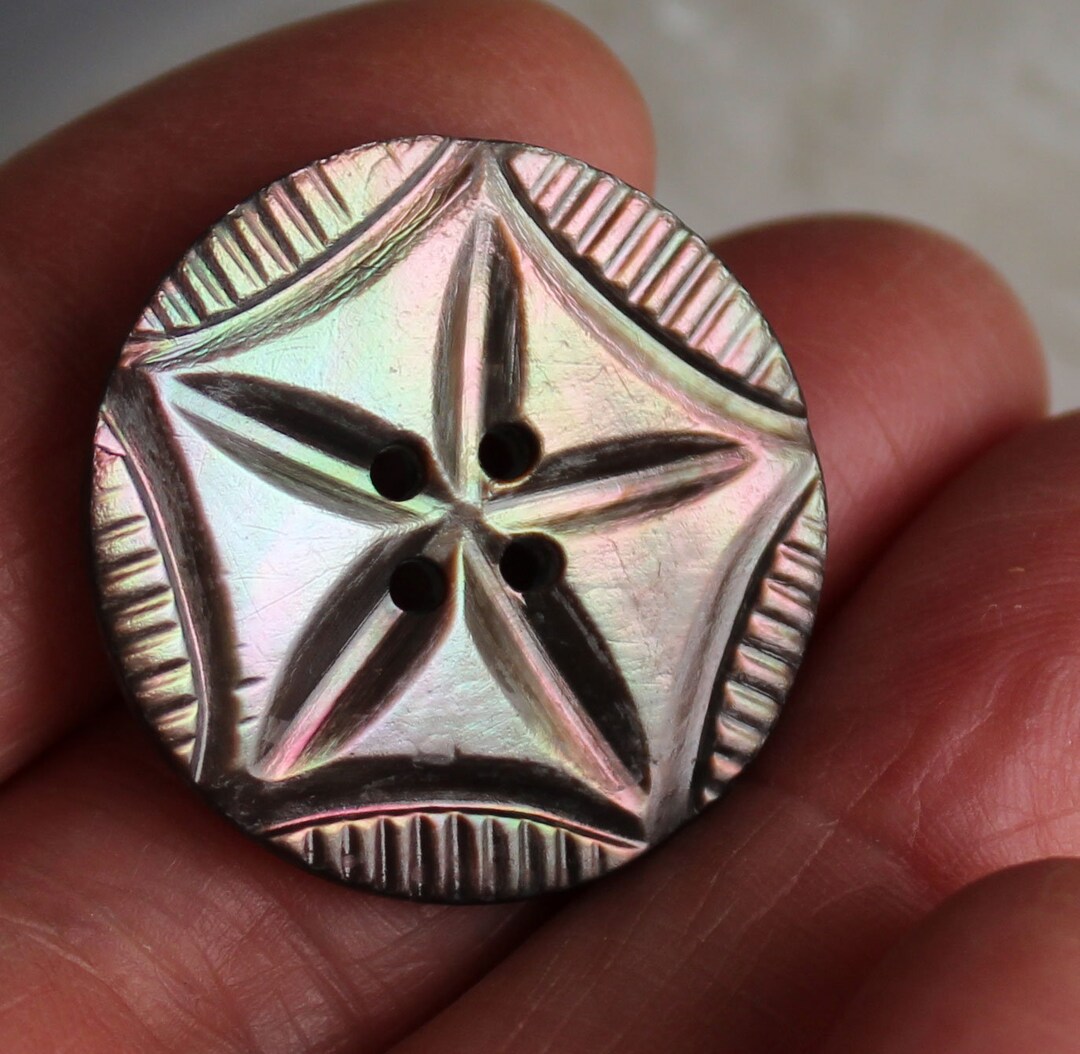 SALE Vintage 27mm Carved Shell Sand Dollar Button Single Piece - Etsy