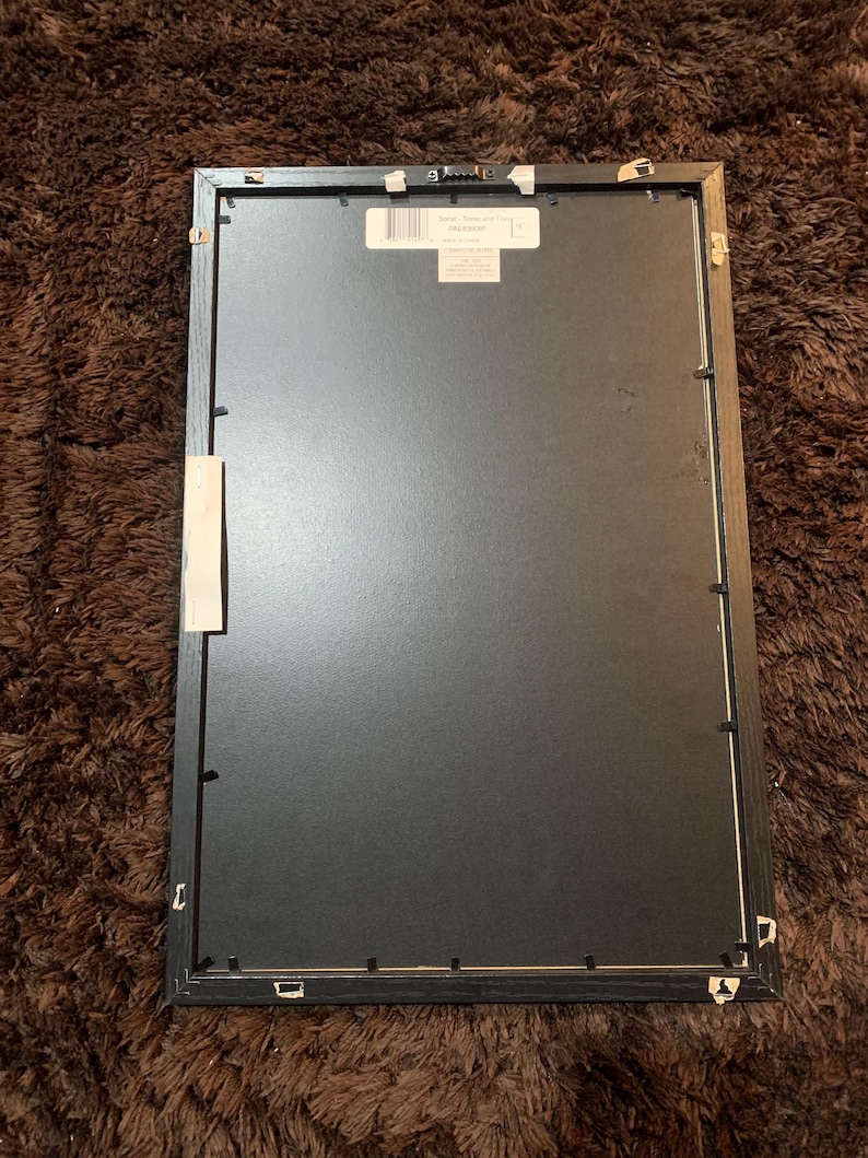 Sonic the Hedgehog and Friends Picture Frame, Decor. SEGA With Tails ...