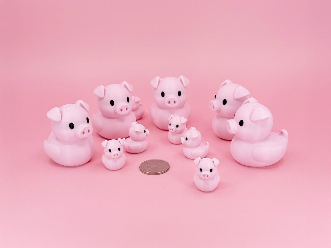 Pig 3D Printed Ducks - Cute, Cruising Duck, Keep or Hide - Etsy