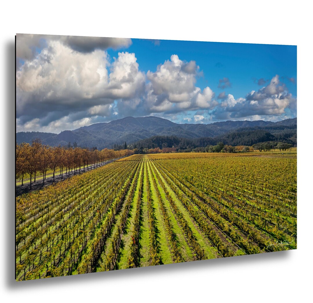 Napa Valley Vineyard Wall Art | California Wine Country Landscape ...