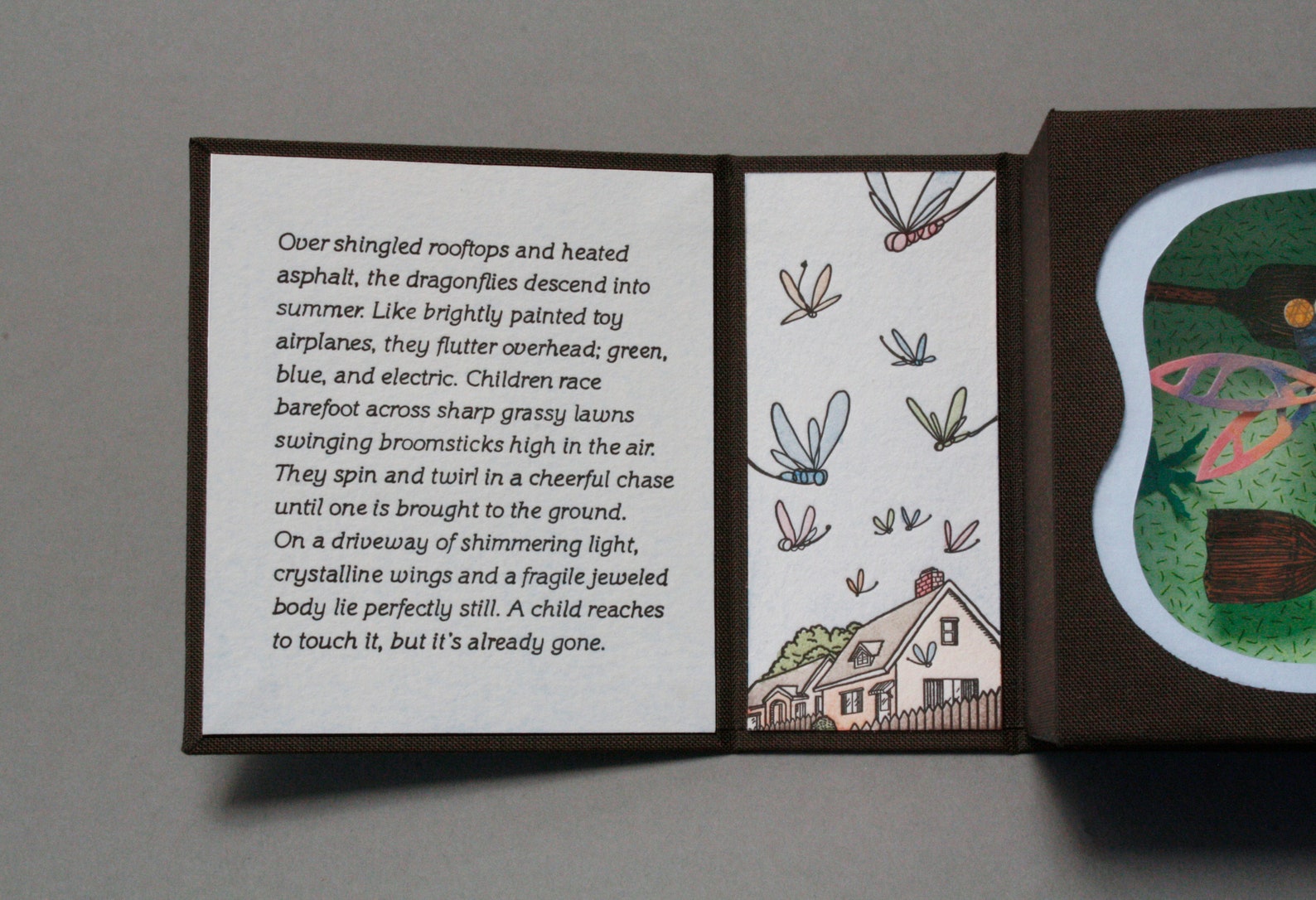 Dragonfly, Limited Edition Diorama Storybook - Etsy