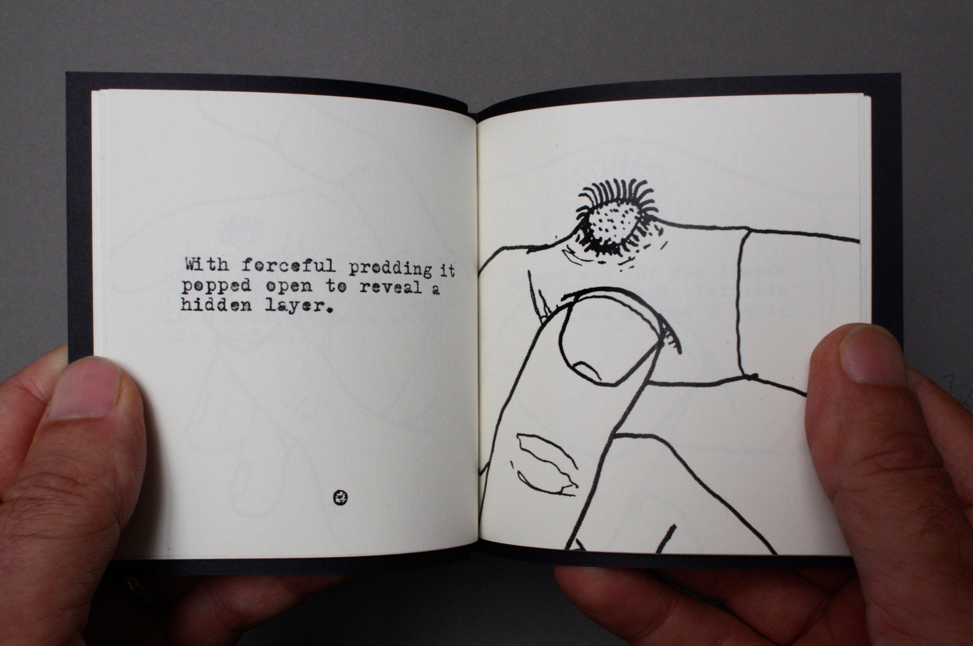 Wart, Limited Edition Graphic Storybook - Etsy