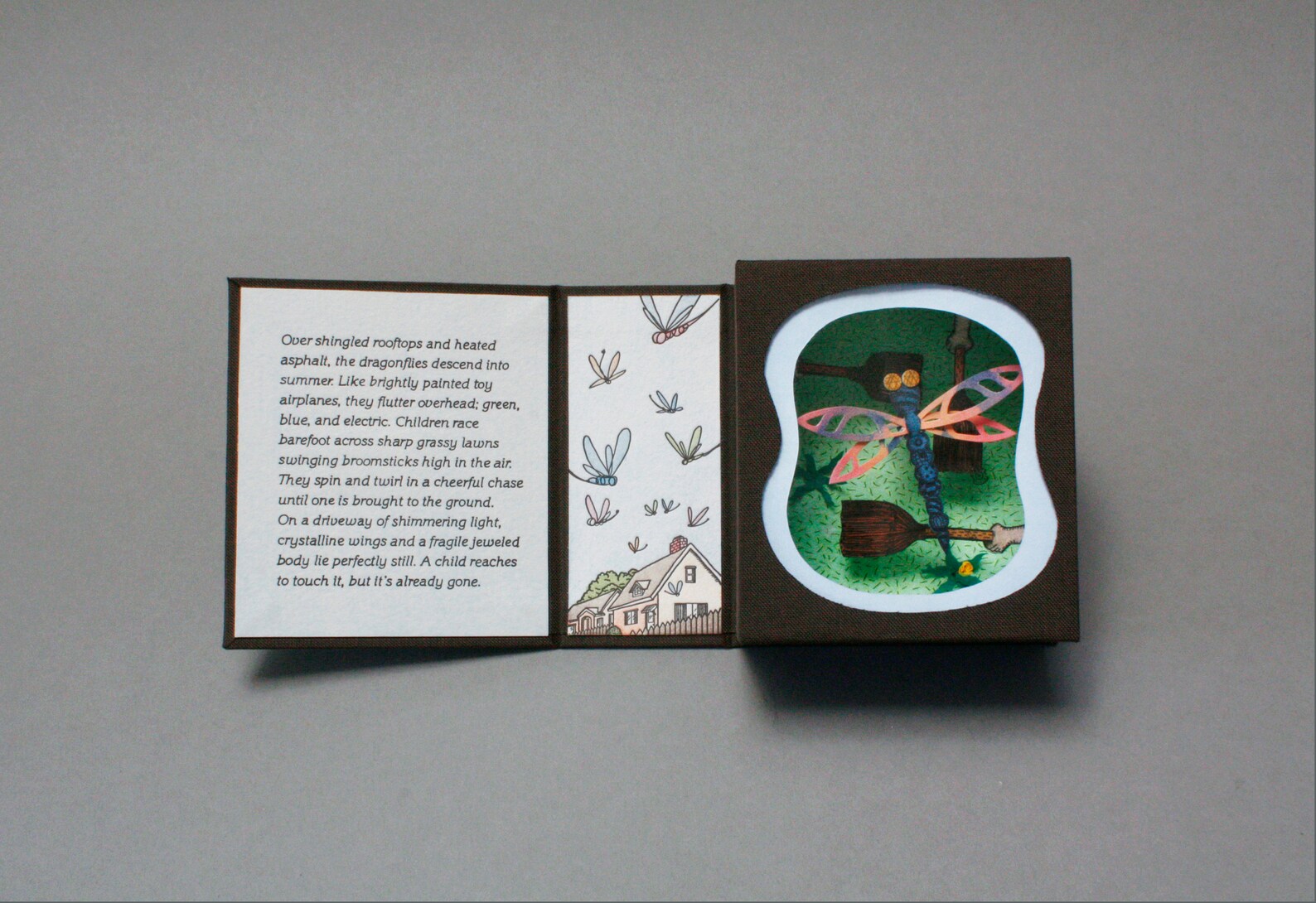 Dragonfly, Limited Edition Diorama Storybook - Etsy