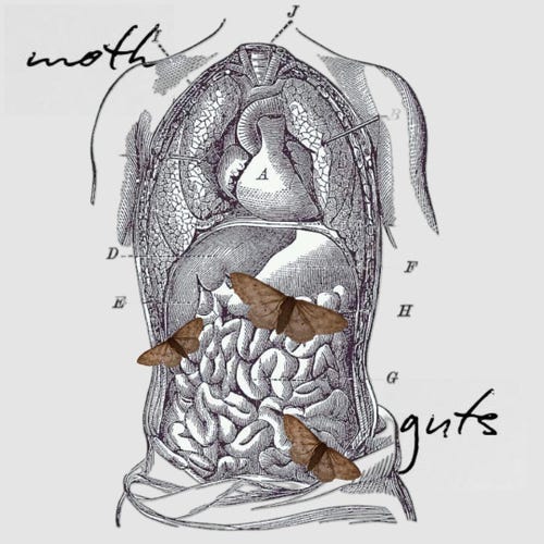 MothGuts - Etsy